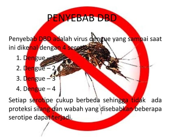 Demam berdarah-dengue-dbd | PPT