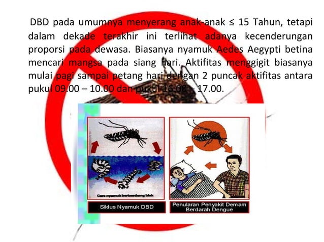 Demam berdarah-dengue-dbd | PPT