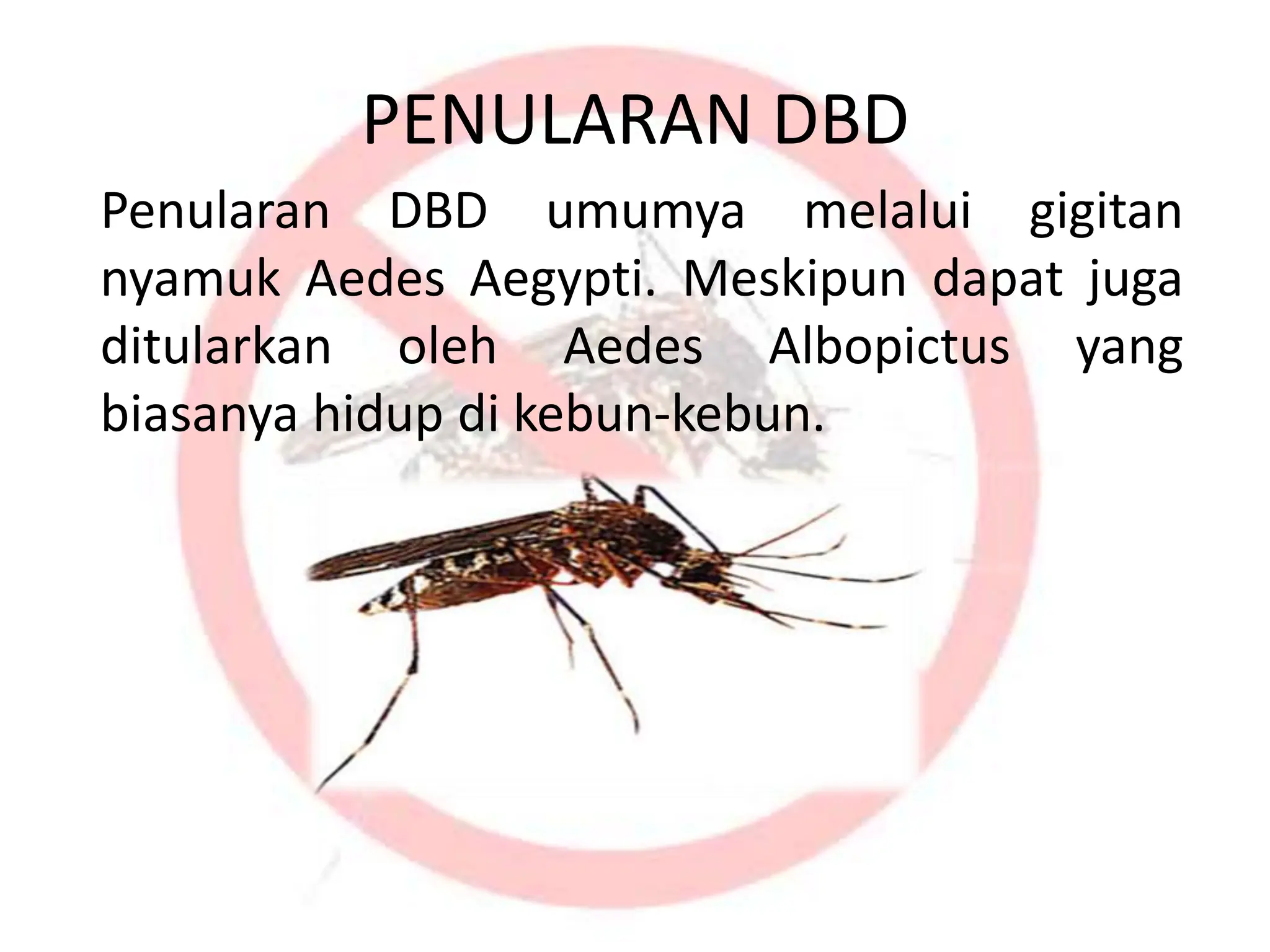SOSIALISASI MATERI DEMAM BERDARAH DENGUE.ppt