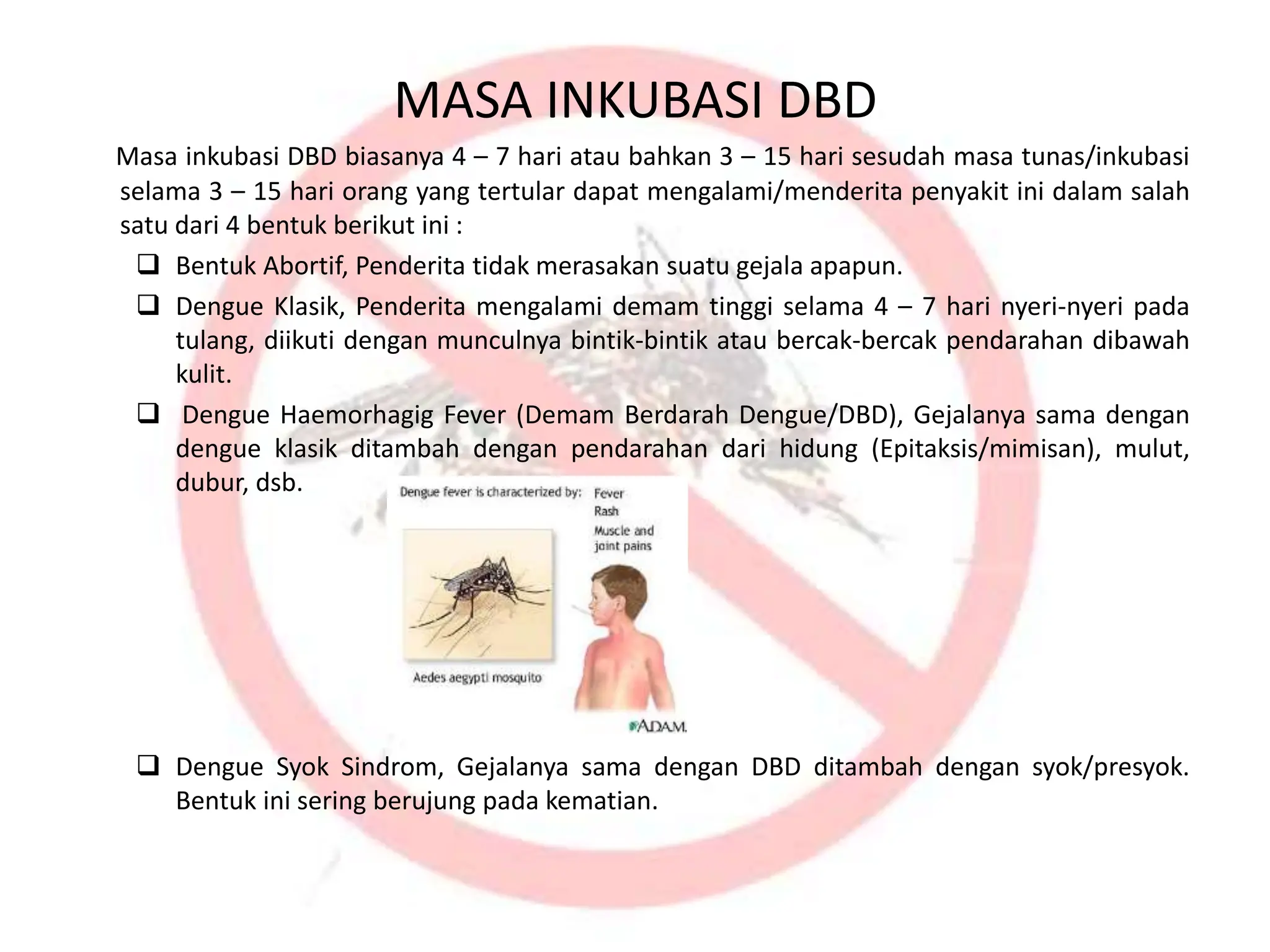 SOSIALISASI MATERI DEMAM BERDARAH DENGUE.ppt