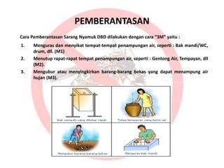 SOSIALISASI MATERI DEMAM BERDARAH DENGUE.ppt