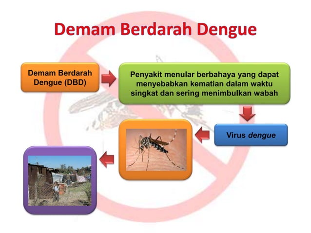 SOSIALISASI MATERI DEMAM BERDARAH DENGUE.ppt