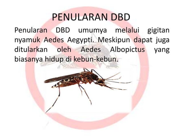 SOSIALISASI MATERI DEMAM BERDARAH DENGUE.ppt
