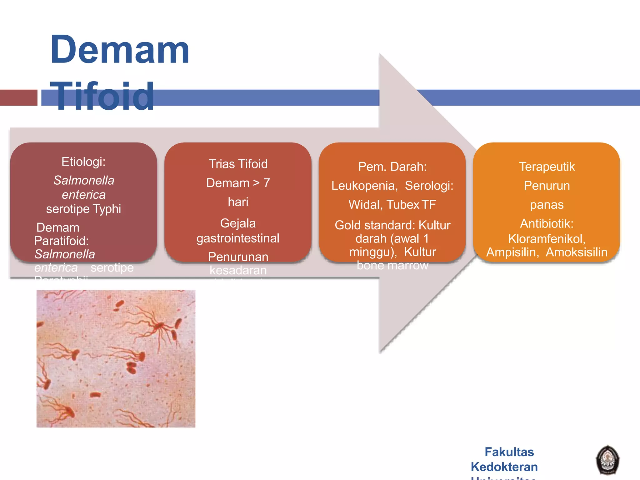 demam-tifoid-anak-160218082407.pptx
