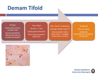Demam tifoid anak | PPTX