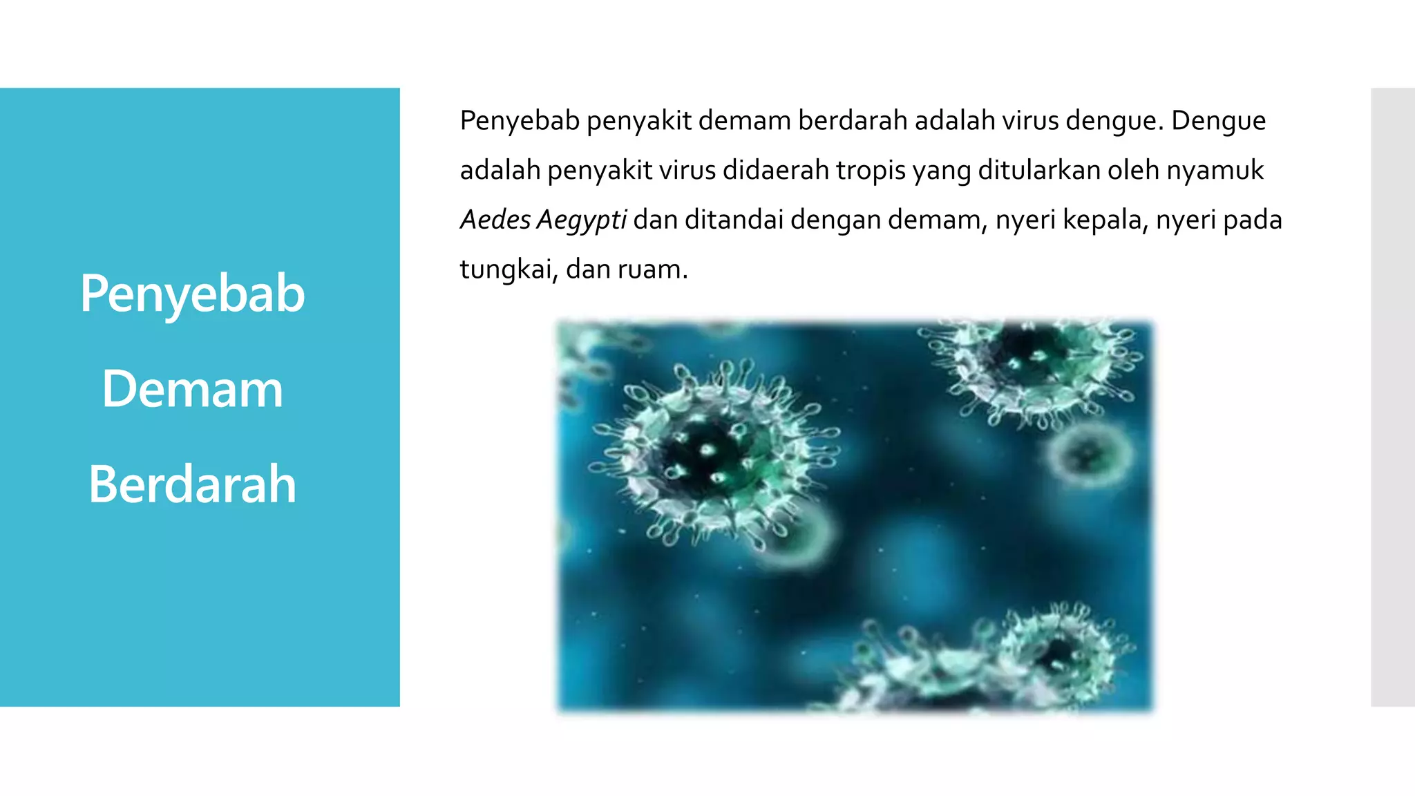 Virus Demam Berdarah | PPTX