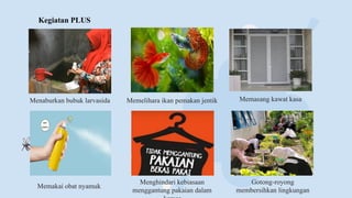 Demam Berdarah Dangue (DBD) 2024 (DBD).pptx