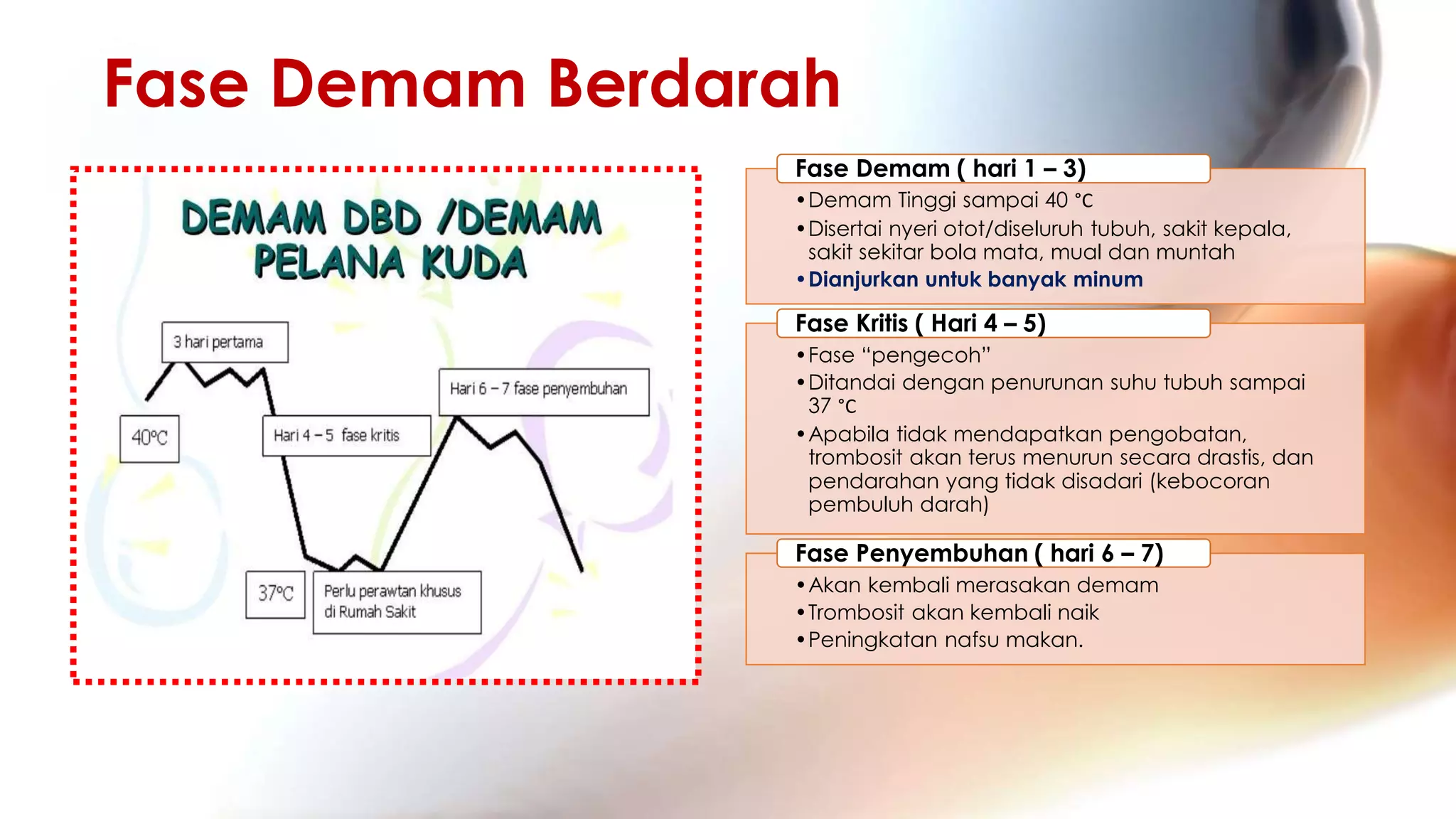 Demam Berdarah Dengue.pdf