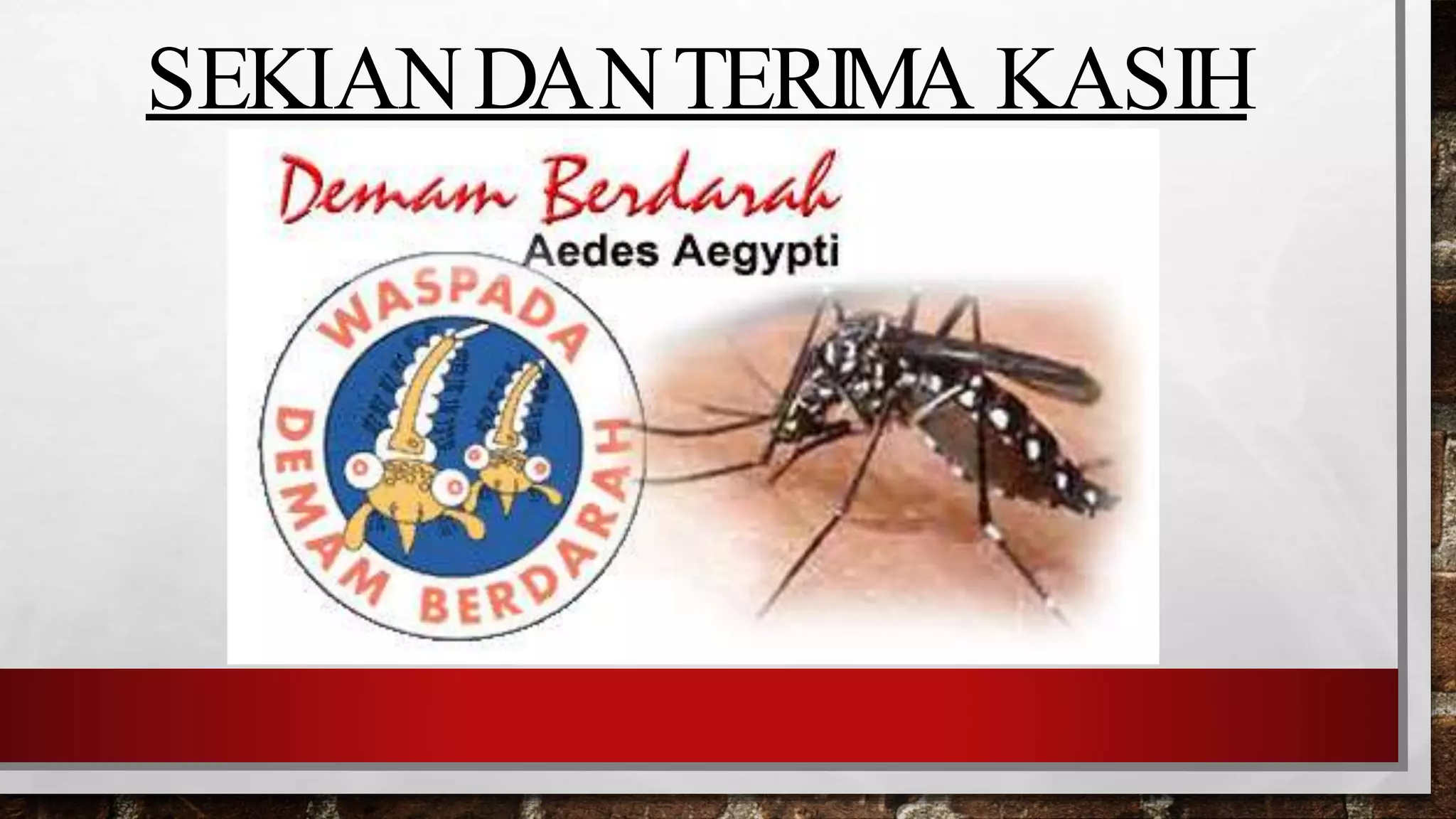 Demam Berdarah Dengue.pptx