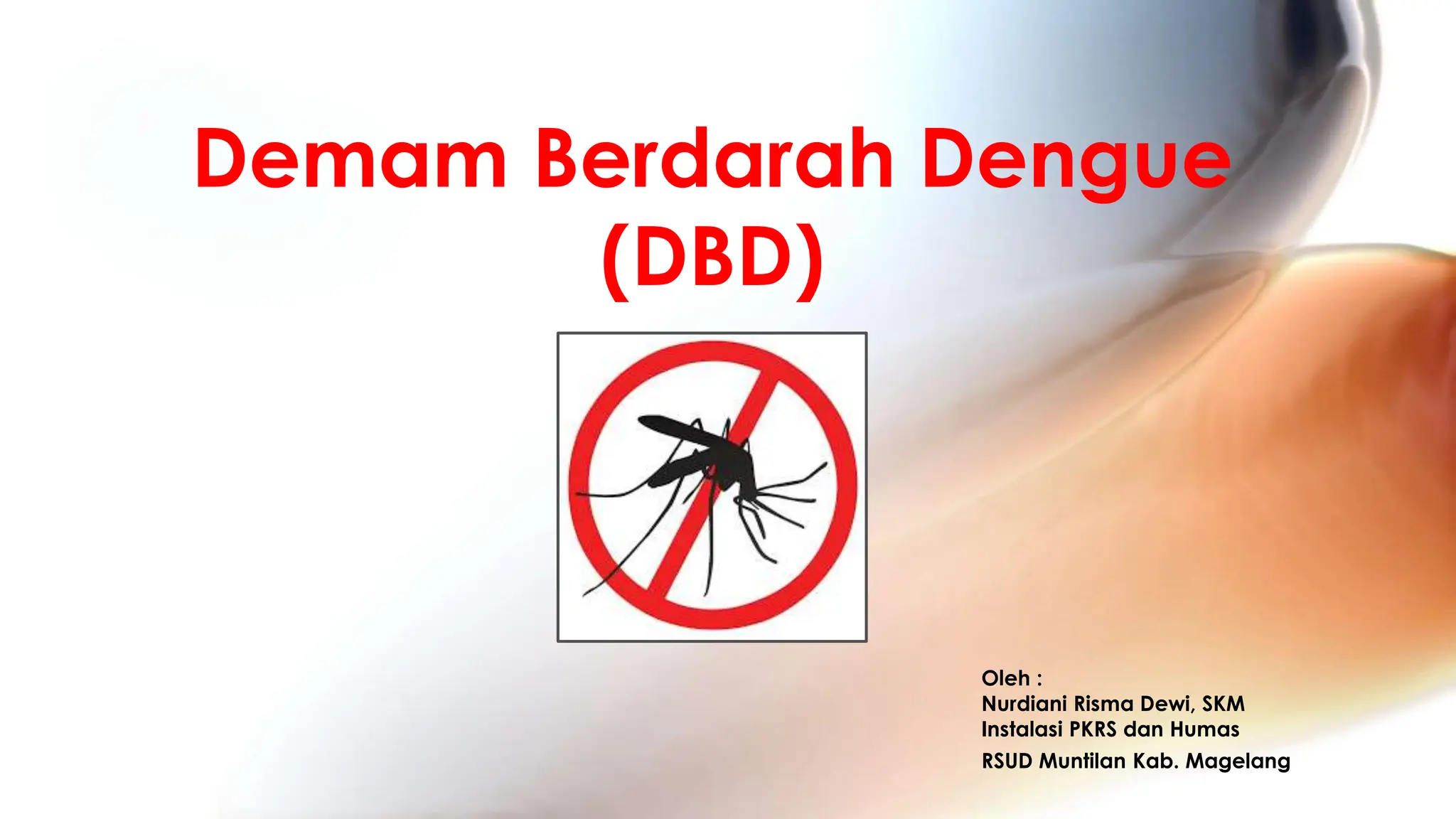 Demam Berdarah Dengue.pdf tugas presentasi | PDF