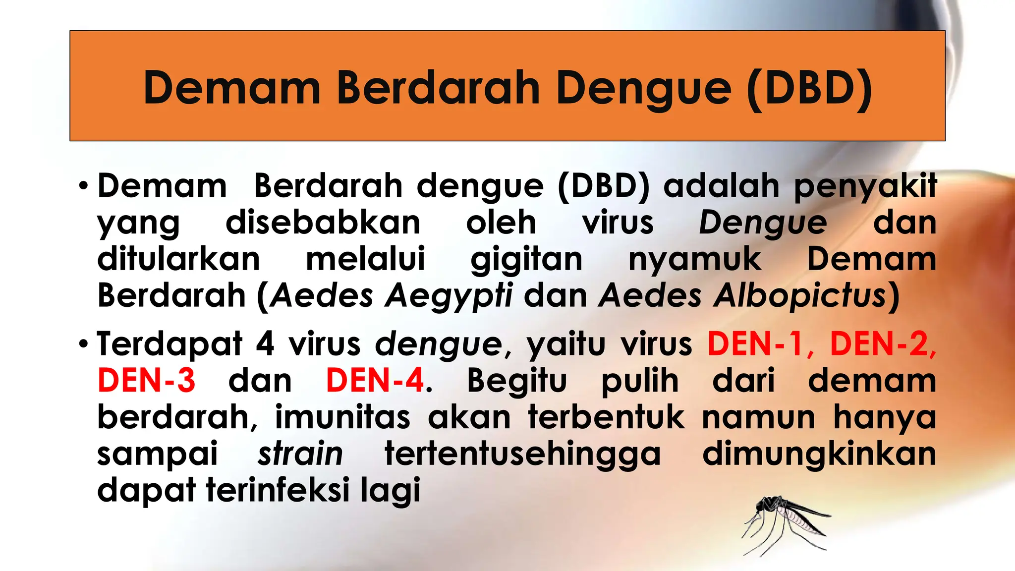 Demam Berdarah Dengue.pdf tugas presentasi | PDF