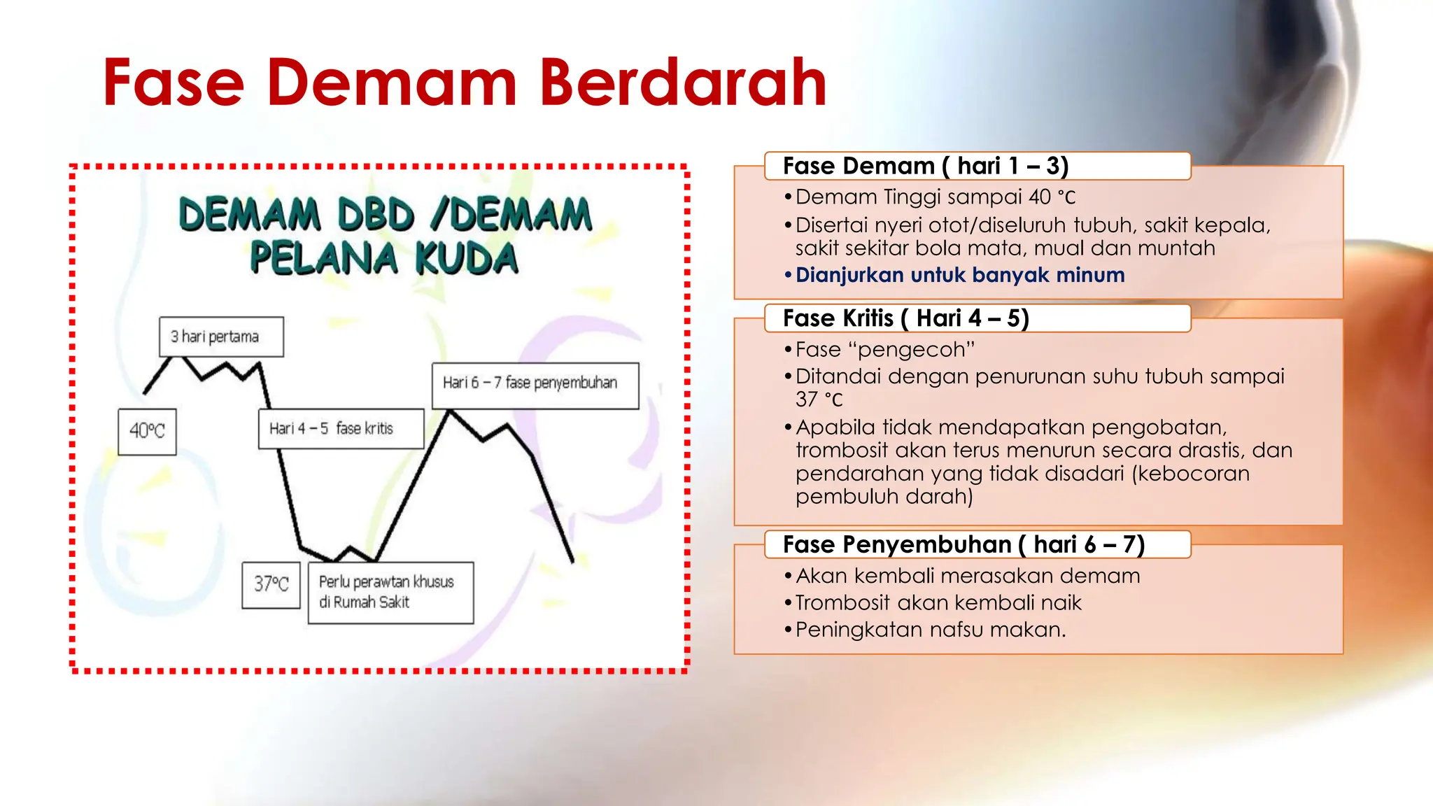 Demam Berdarah Dengue.pdf tugas presentasi | PDF