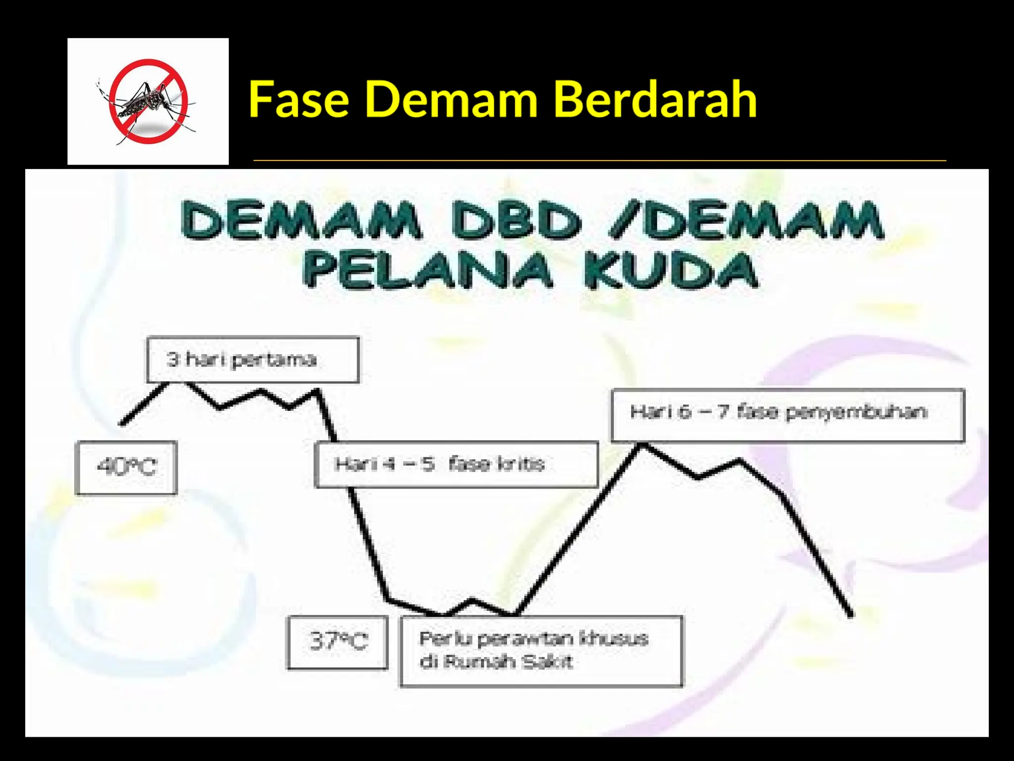 Penyuluhan untuk masyarakat awan terkait Demam Berdarah Dengue.ppt