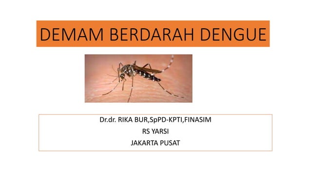 DEMAM BERDARAH DENGUE-YARSI-2024.pptx... | PPTX