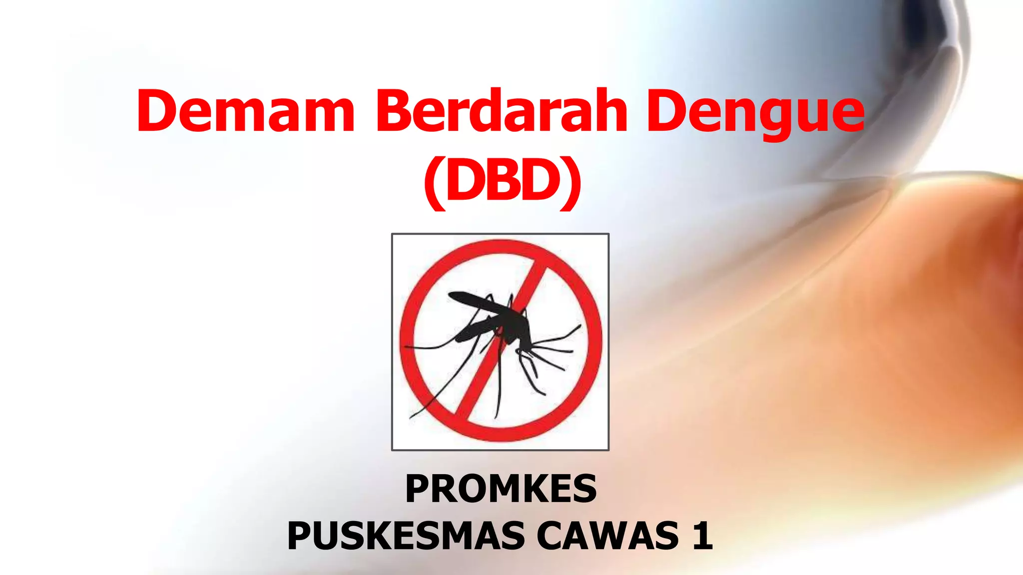 Demam Berdarah Dengue.pptx
