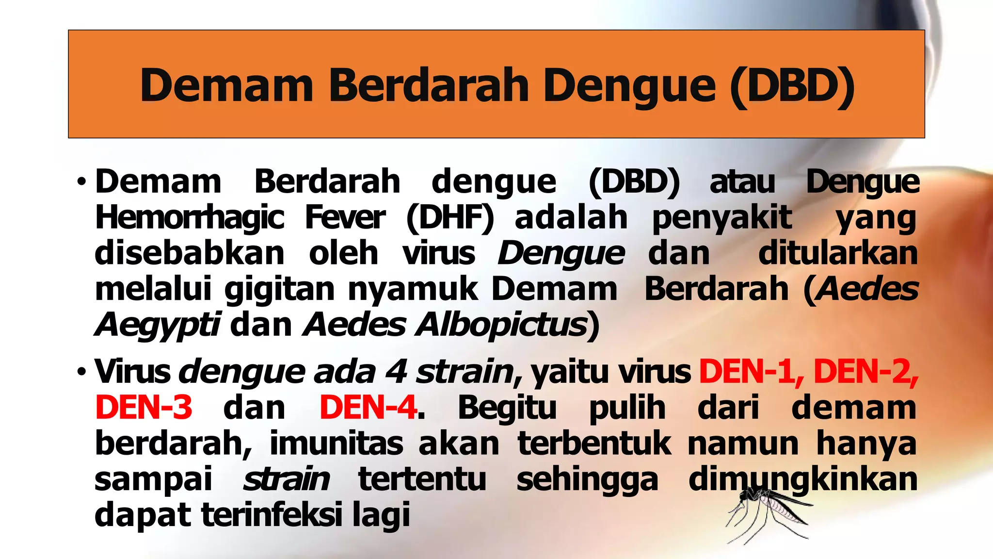 Demam Berdarah Dengue.pptx