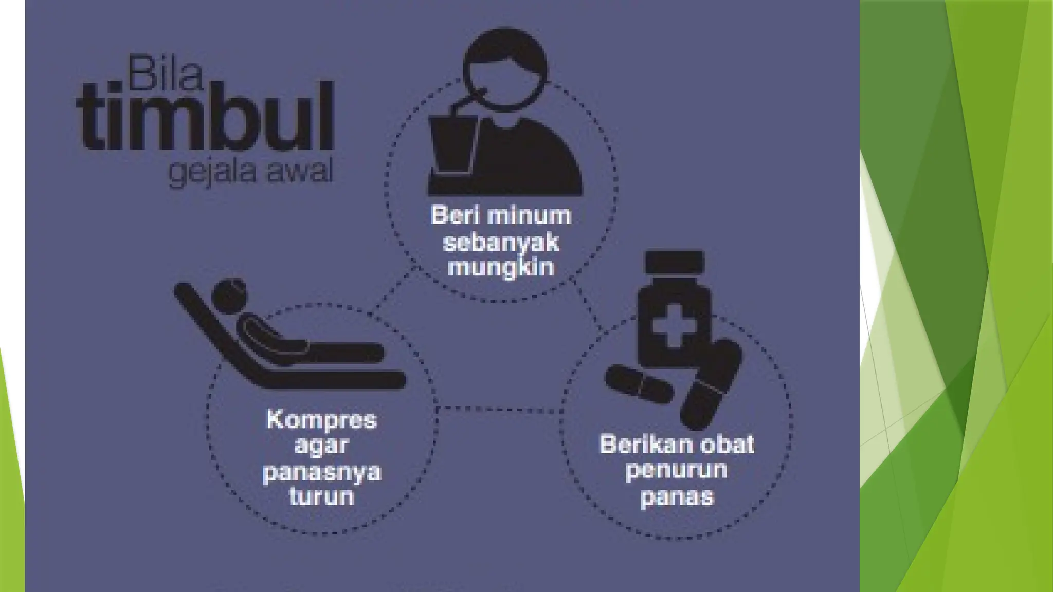 Demam Berdarah Dengue ppt.pptx PENYULUHAN | PPTX