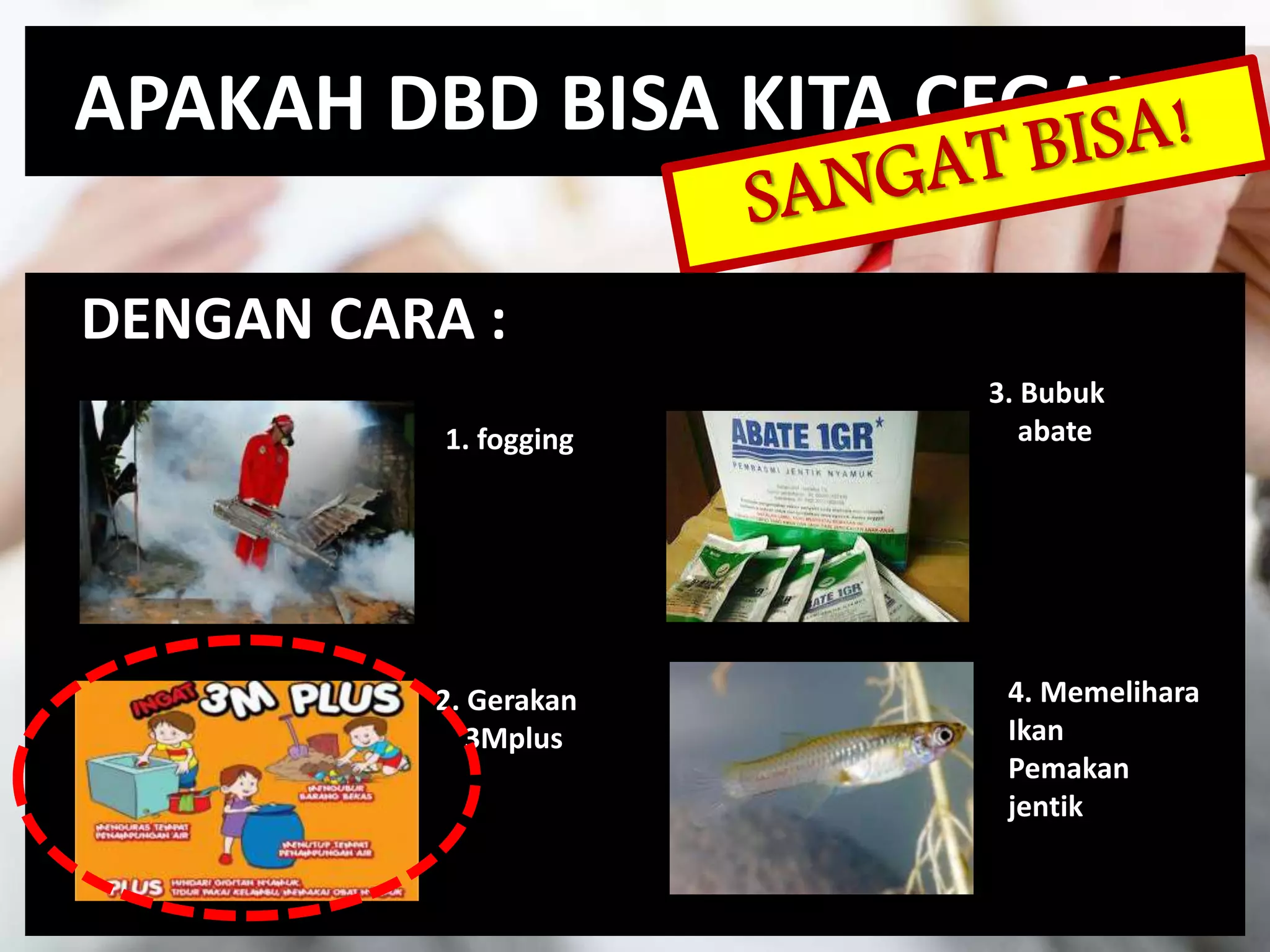 MATERI PENYULUHAN DEMAM BERDARAH | PPTX