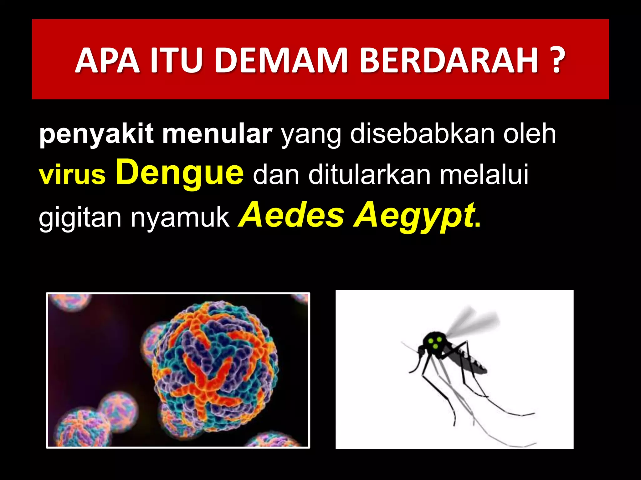 MATERI PENYULUHAN DEMAM BERDARAH | PPTX