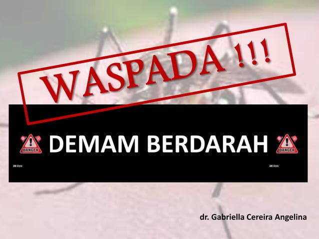 MATERI PENYULUHAN DEMAM BERDARAH | PPTX