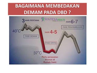 MATERI PENYULUHAN DEMAM BERDARAH | PPTX