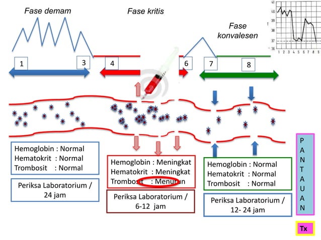 MATERI PENYULUHAN DEMAM BERDARAH | PPTX