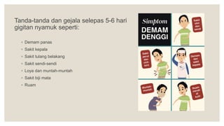 Demam denggi.pptx