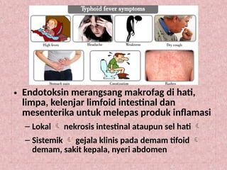 Demam Tifoid untuk orang awam agar kebih memahami | PPTX