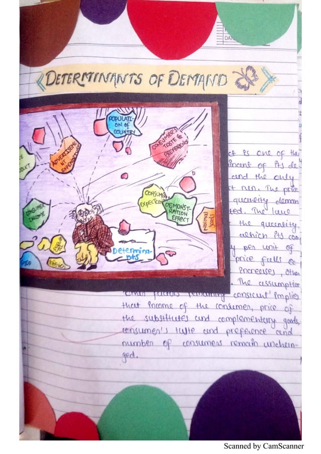 Demand and its Determinants - Economics Class 12 Project | PDF
