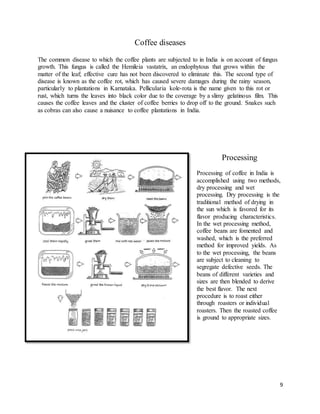 Demand and Supply of Coffee | DOCX