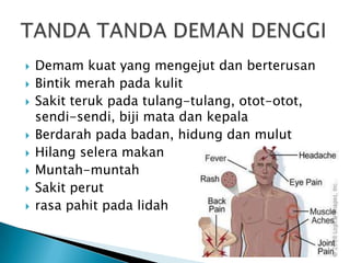 Deman denggi dan deman denggi berdarah | PPTX
