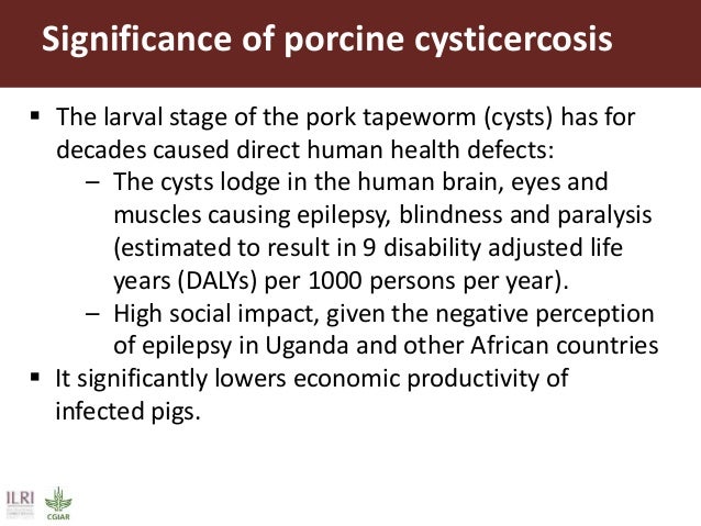 Demand For Porcine Cysticercosis Vaccine In Uganda Lessons And Insig…