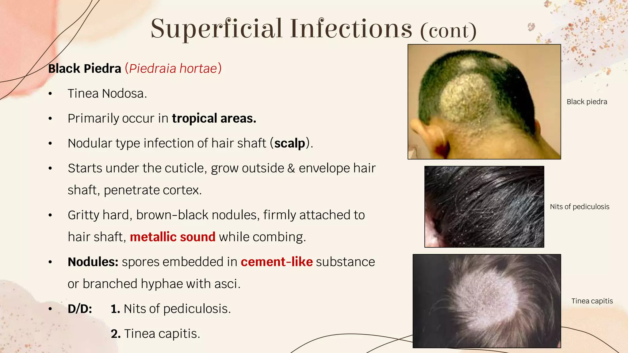 Dematiaceous fungi.pptx