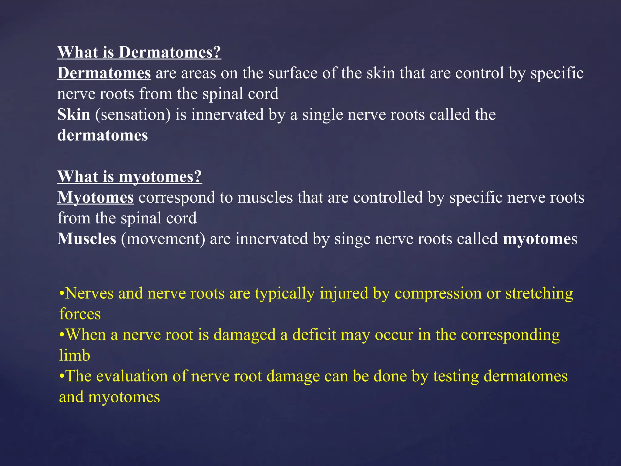 dematome and myotomes physiology lll.pptx