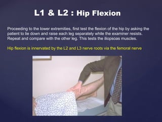 dematome and myotomes physiology lll.pptx