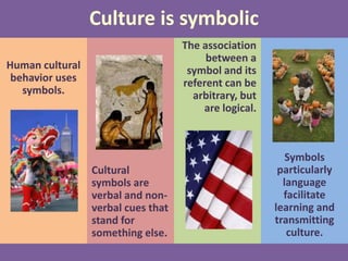 Culture and Art - Anthropology Teaching Demo | PPTX
