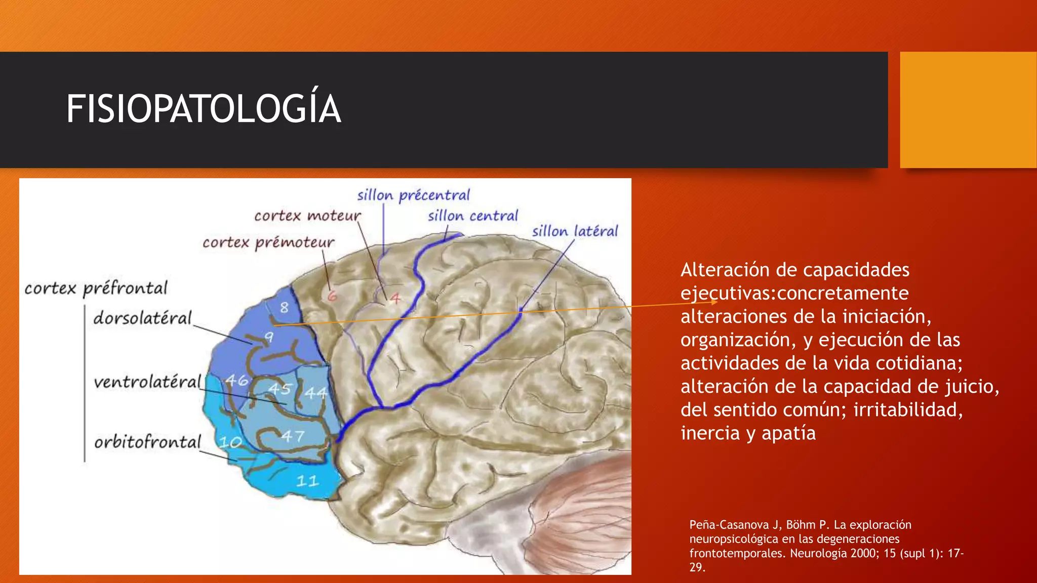 DEMENCIA FRONTO TEMPORAL.pptx