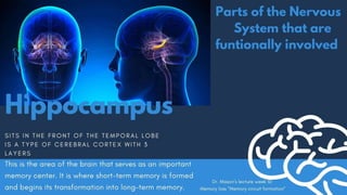 Memory loss Dementia | PPTX