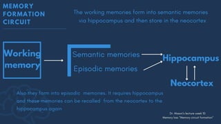 Memory loss Dementia | PPTX