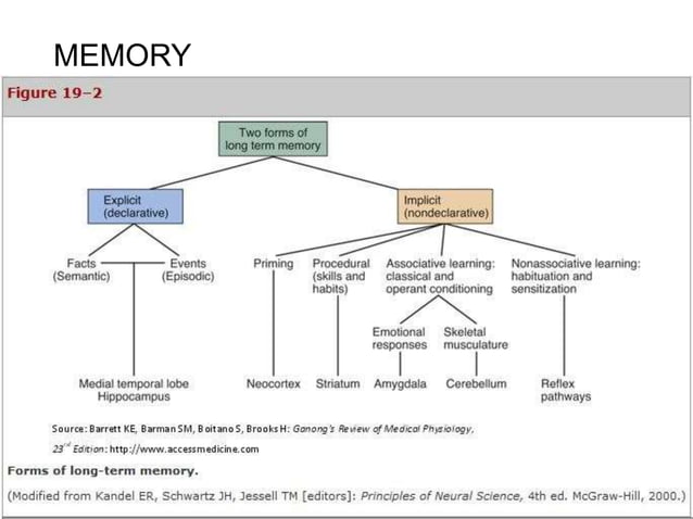 Approach to Dementia | PPT