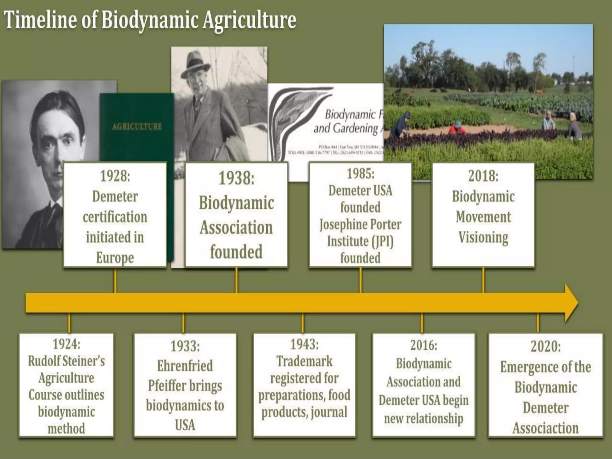 DEMETER & WHAT IS BIODYNAMIC, PROCEDURE OF.pdf