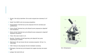 De microscoop | PPTX