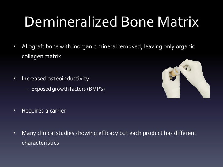Demineralized Bone Matrix