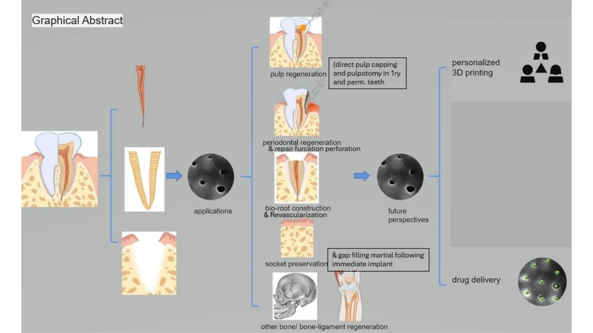 Demineralized dentine matrix uses in paediatric dentistry - final ...