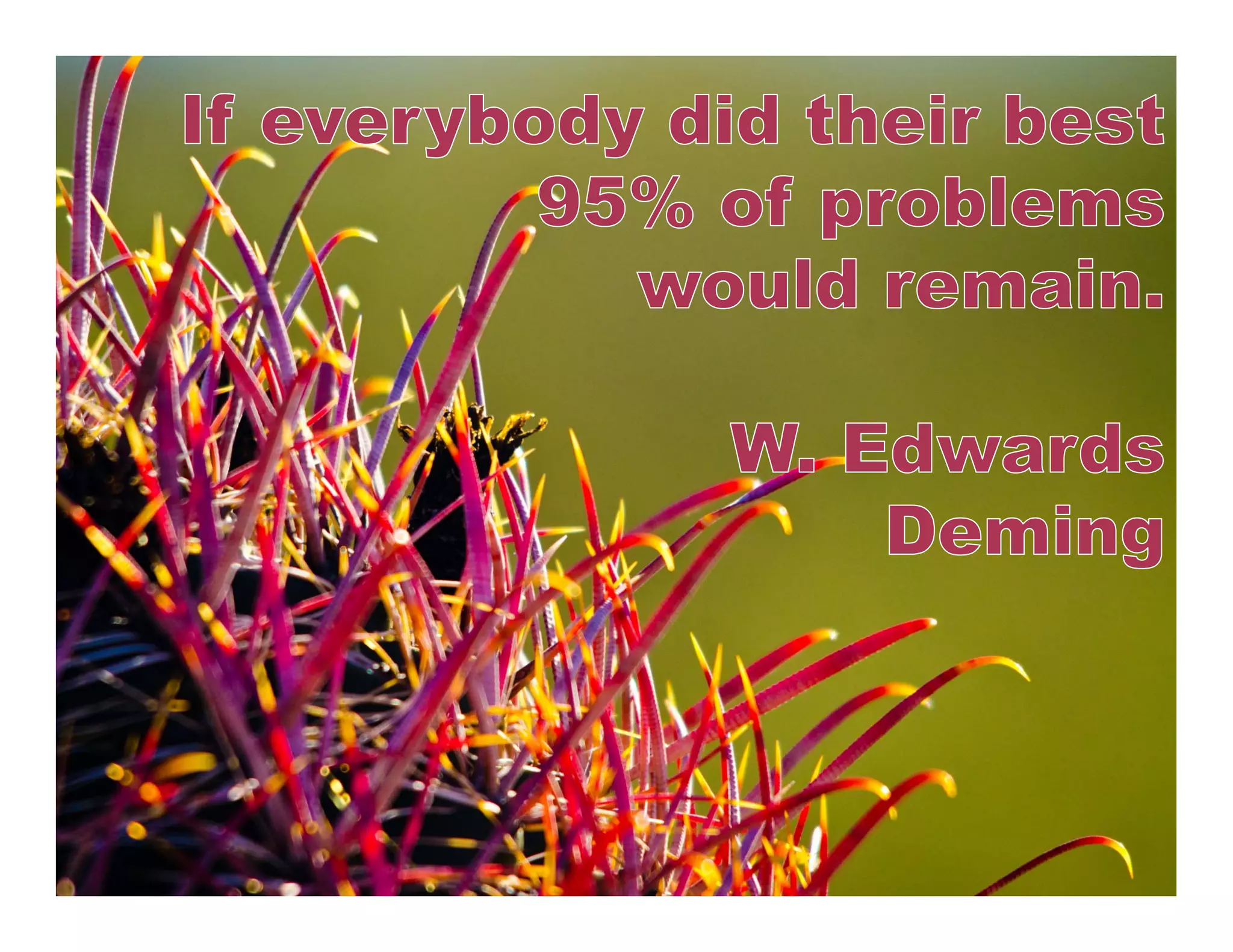 W. Edwards Deming Quotations from 1992 Conference | PDF