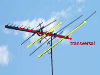 Transversal Line | PPTX