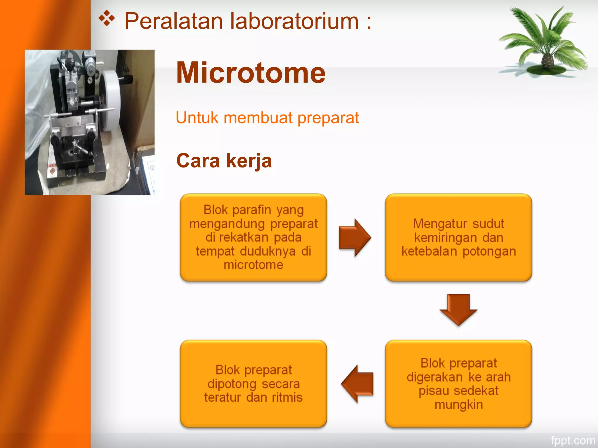 PENGENALAN LAB | PPT