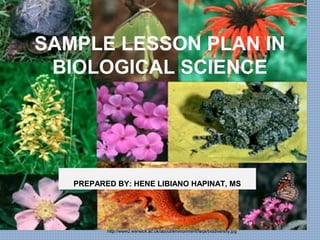 Lesson Plan in Biological Science | PPT