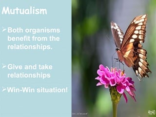 Lesson Plan in Biological Science | PPT