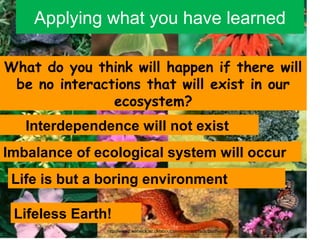 Lesson Plan in Biological Science | PPT